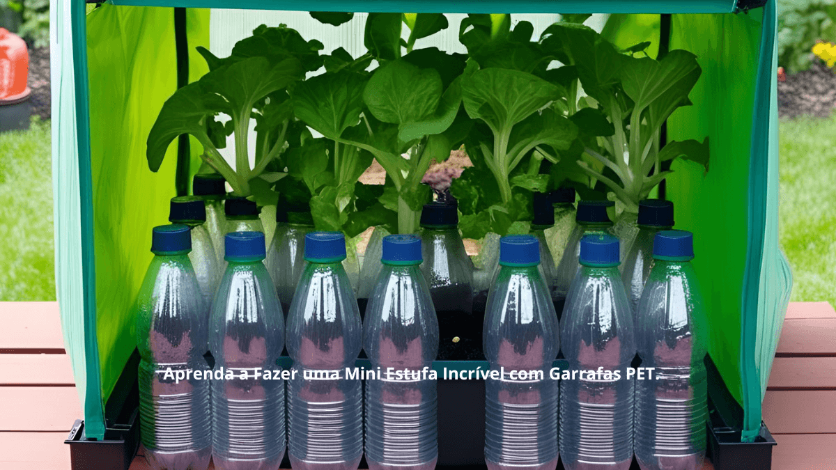 Horta Hidropônica! Aprenda A Fazer Uma Mini Estufa Incrível Com ...